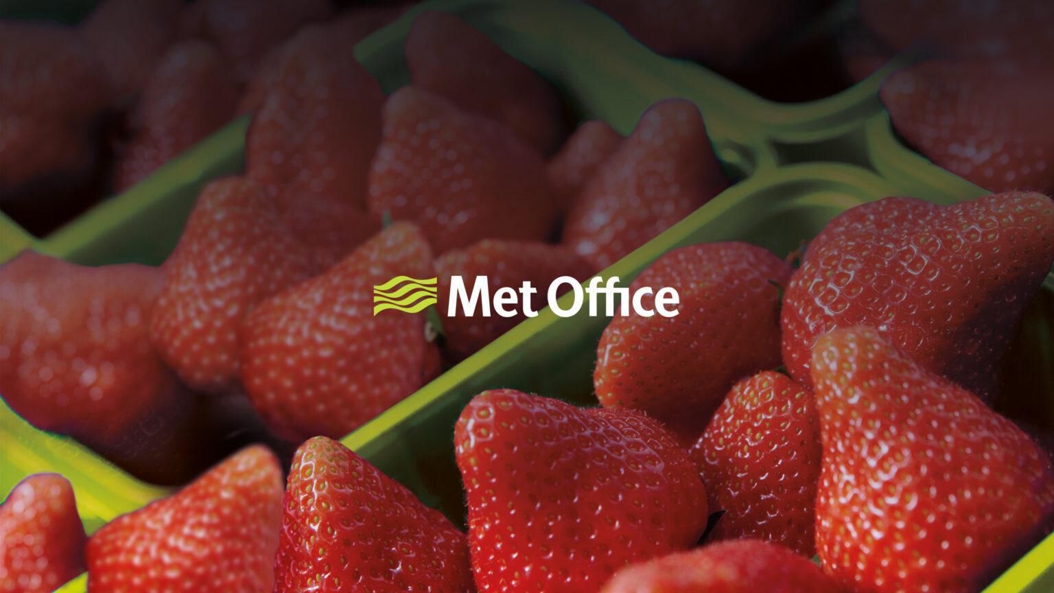 Fully Integrated Marketing Agency in Devon | Chalk & Ward Marketing