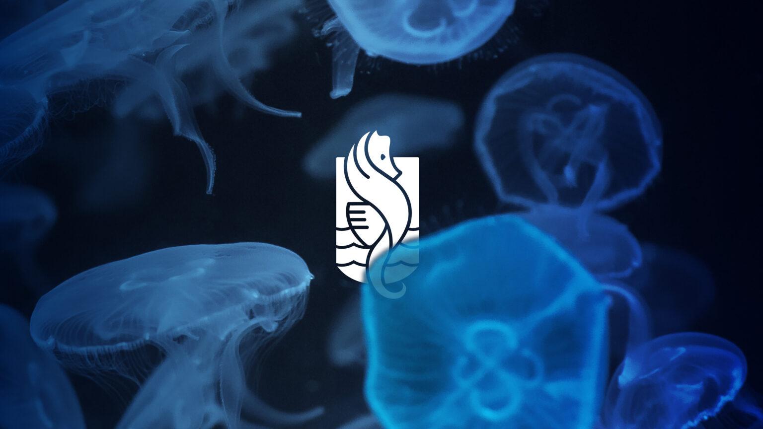 Fully Integrated Marketing Agency in Devon | Chalk & Ward Marketing